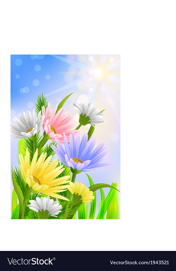 Spring Background Royalty Free Vector Image - VectorStock