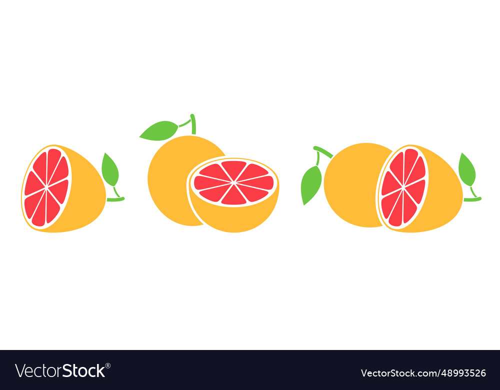 Grapefruit Royalty Free Vector Image - VectorStock