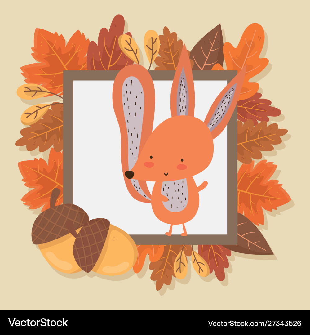 Squirrel foliage leaves hello autumn poster Vector Image