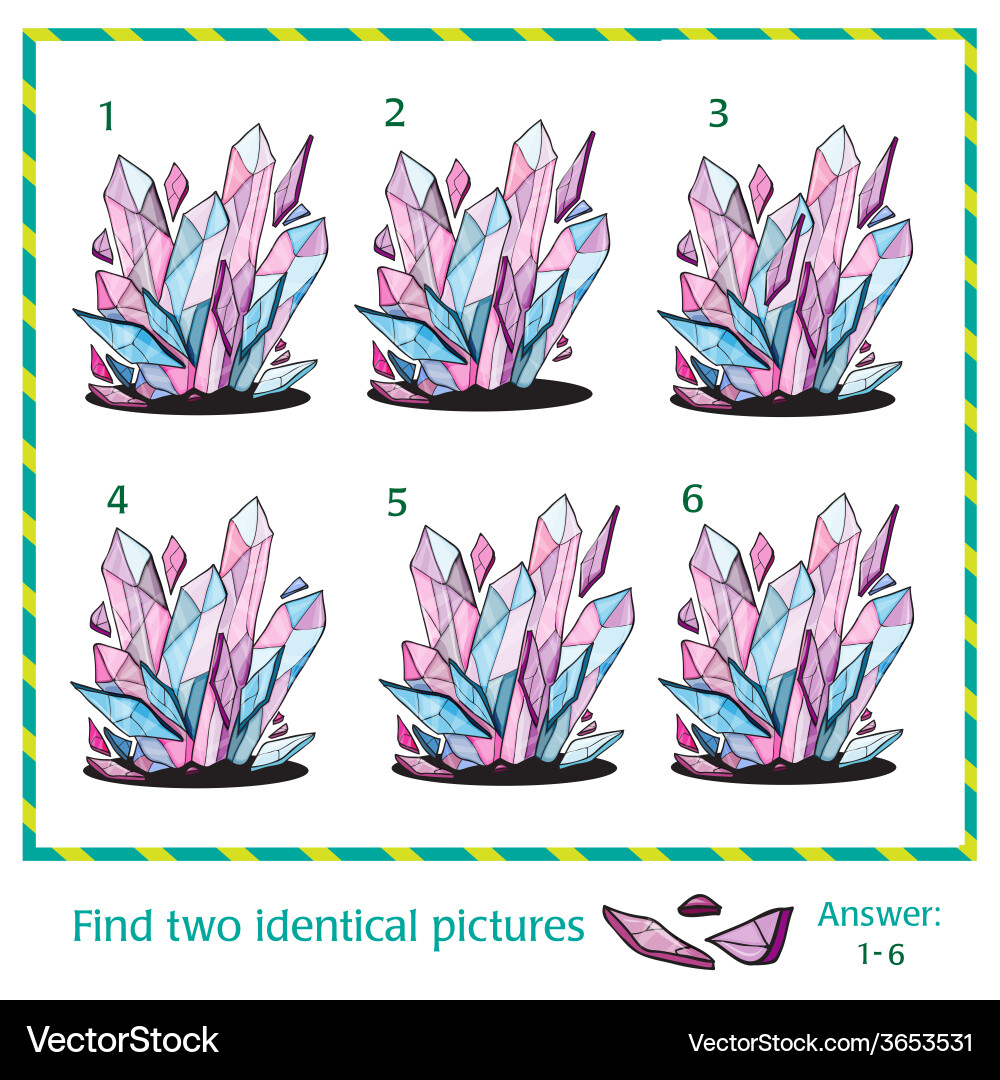 Visual puzzle - find two identical images of Vector Image