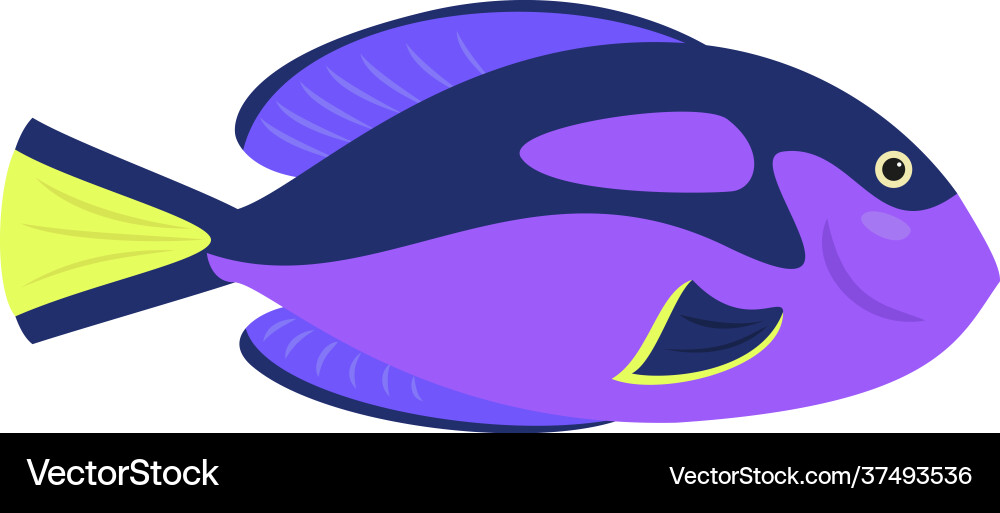 Cartoon fish surgeon icon on white background Vector Image