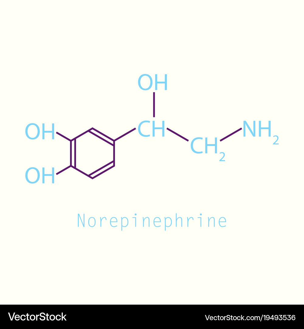 Norepinephrine noradrenaline norepi hormone Vector Image