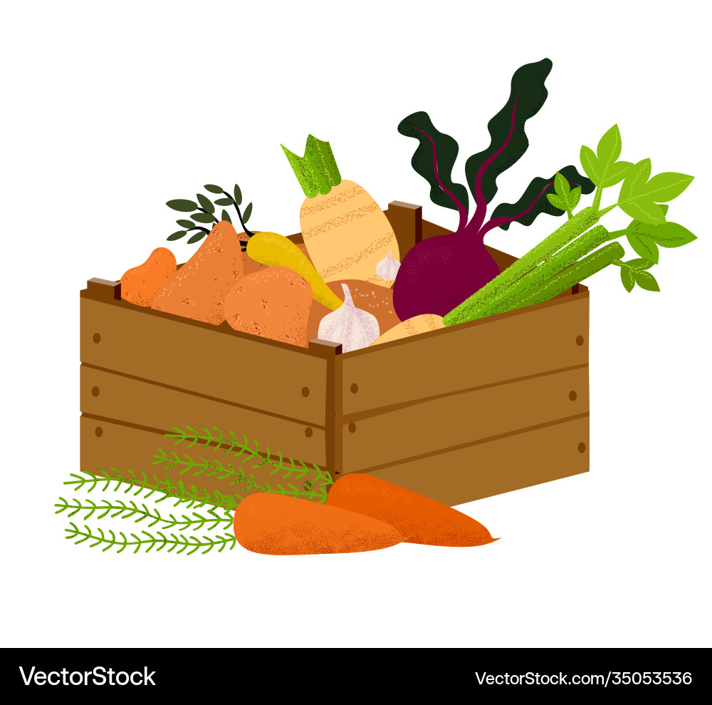 Veggie box with vegetables hand drawn healthy Vector Image