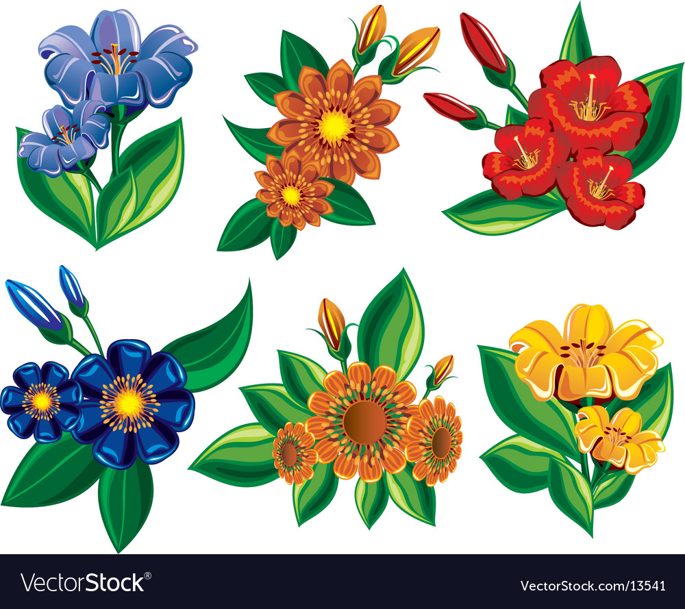 Floral graphics Royalty Free Vector Image - VectorStock