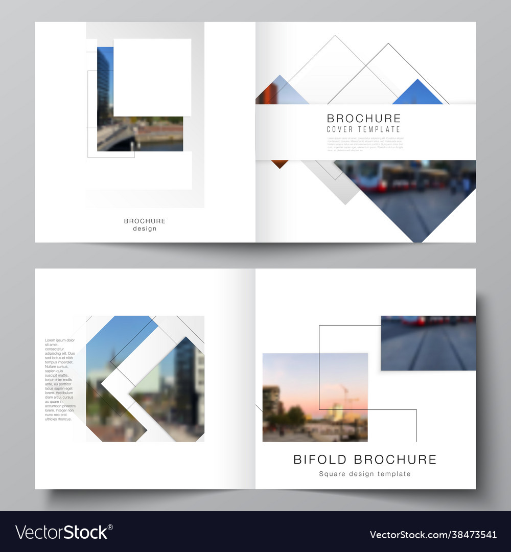 Layout two covers templates Royalty Free Vector Image