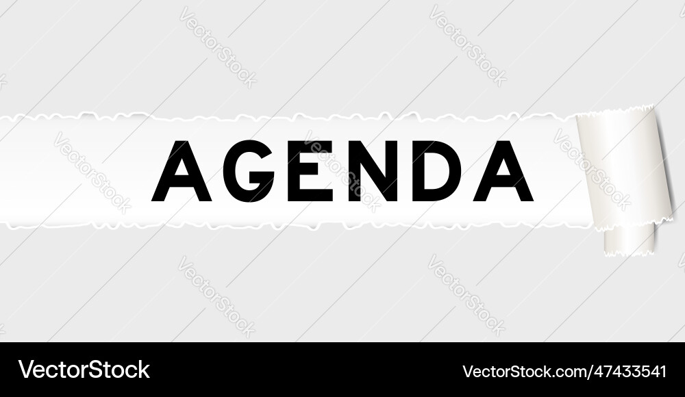 Ripped gray paper background that have word Vector Image