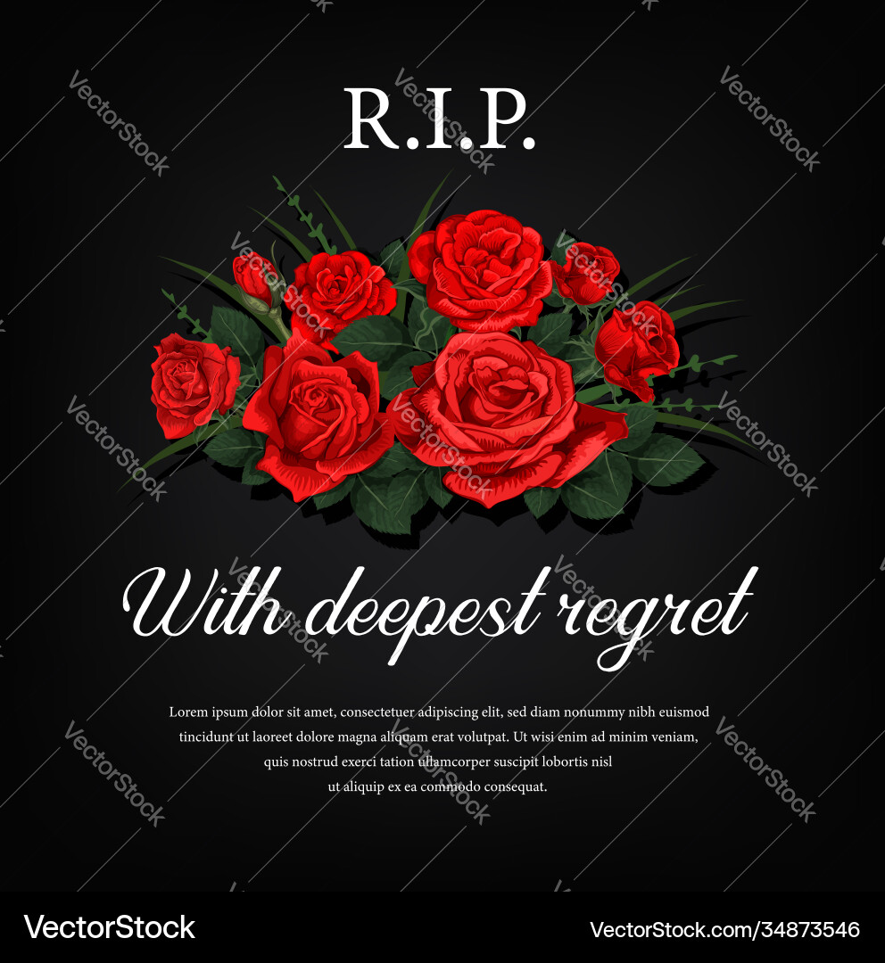 Funeral card with roses and condolence Royalty Free Vector