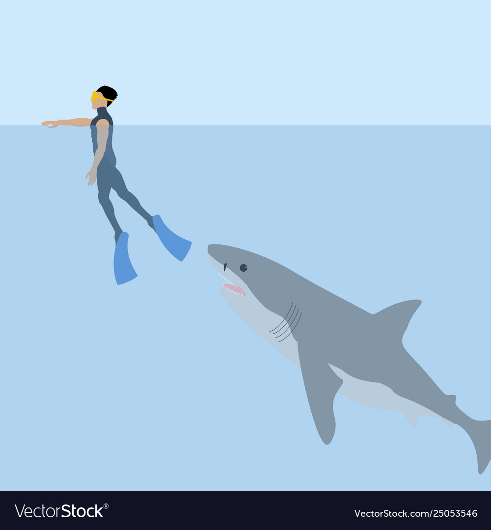 Shark attack Royalty Free Vector Image - VectorStock
