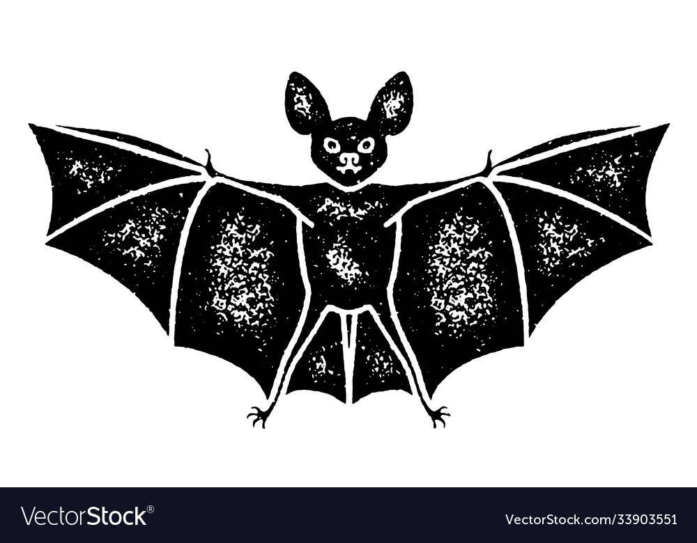 Bat Royalty Free Vector Image - VectorStock