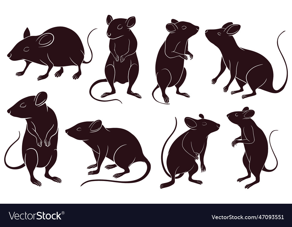 Hand drawns silhouette of rats Royalty Free Vector Image