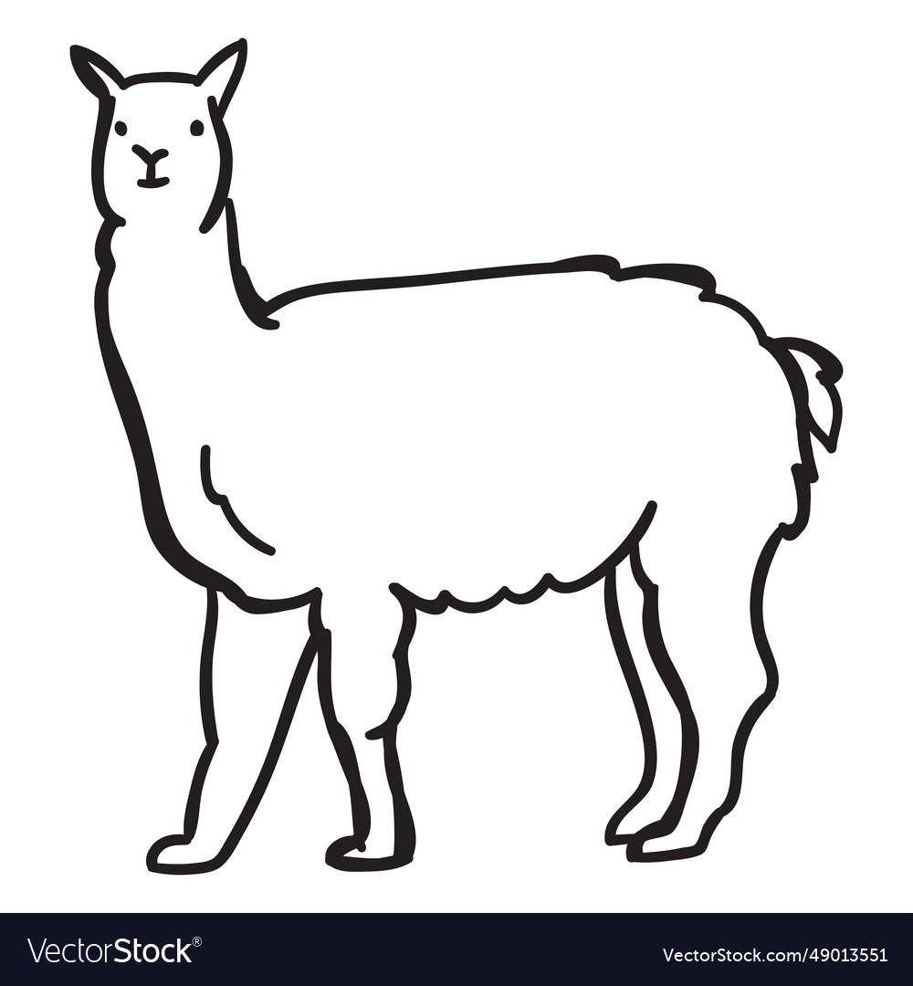 Stroke standing llama Royalty Free Vector Image