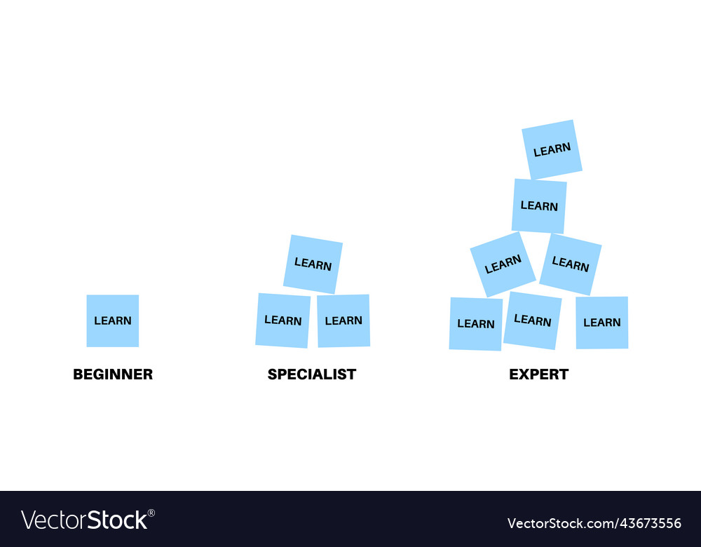 Skill level diagram Royalty Free Vector Image - VectorStock