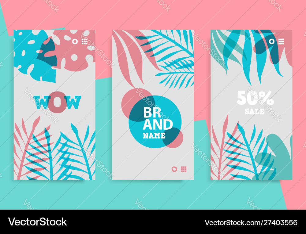 Stories template for mobile phone social Vector Image