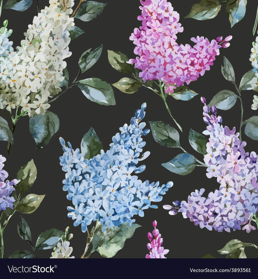 Lilac pattern Royalty Free Vector Image - VectorStock