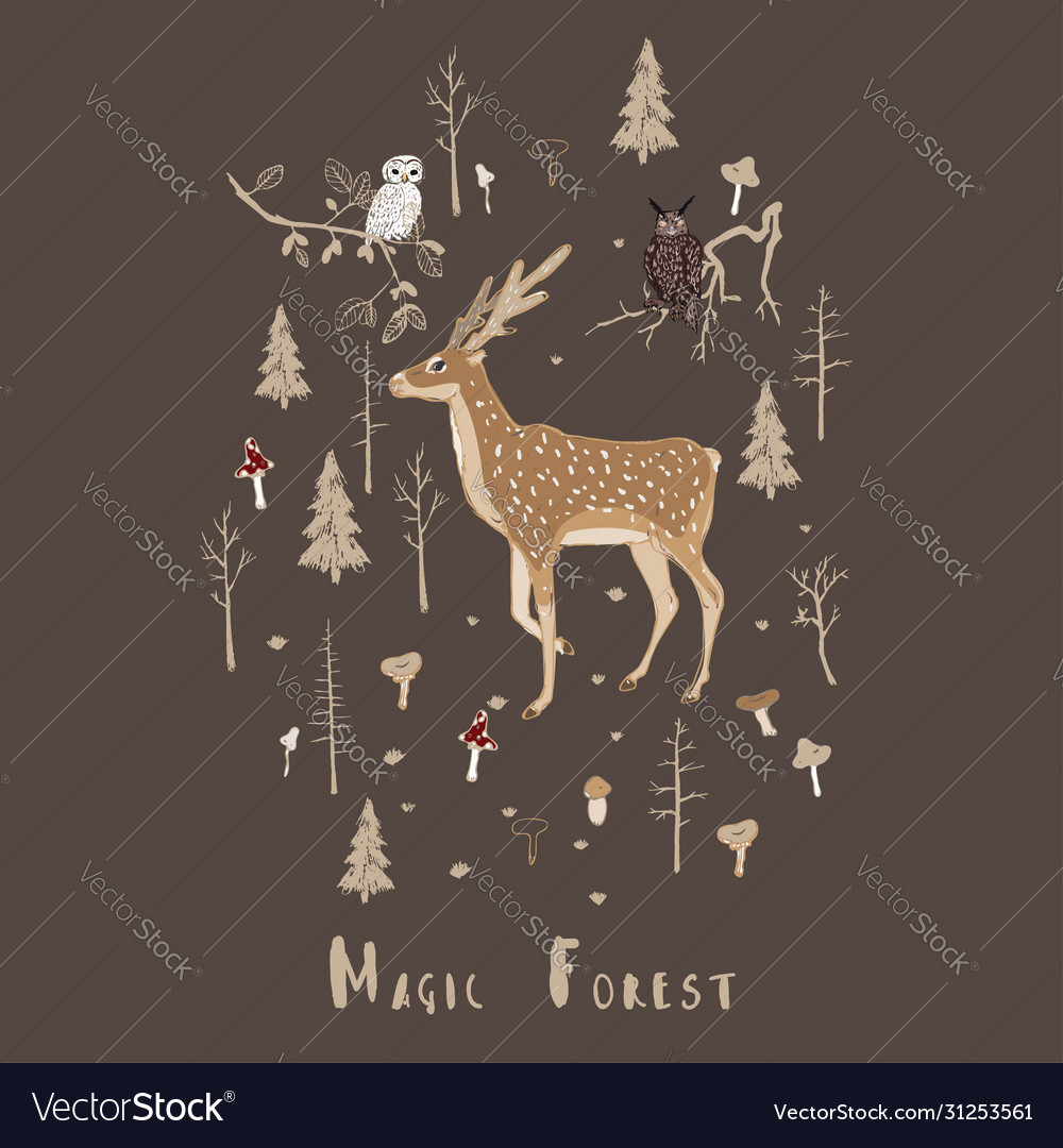 Magic forest Royalty Free Vector Image - VectorStock