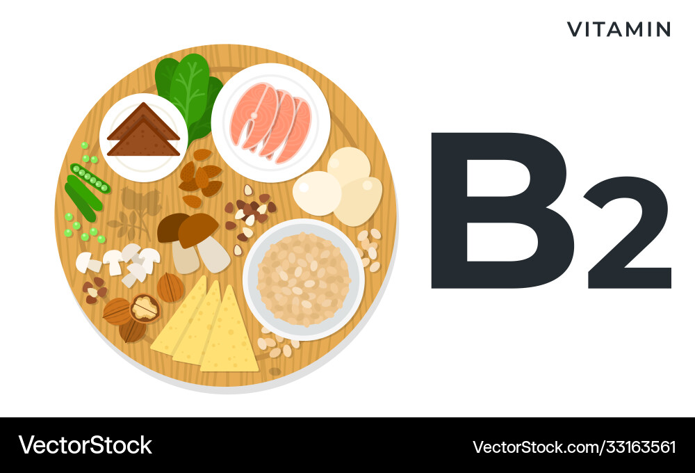 Vitamin b2 or riboflavin flat style Royalty Free Vector
