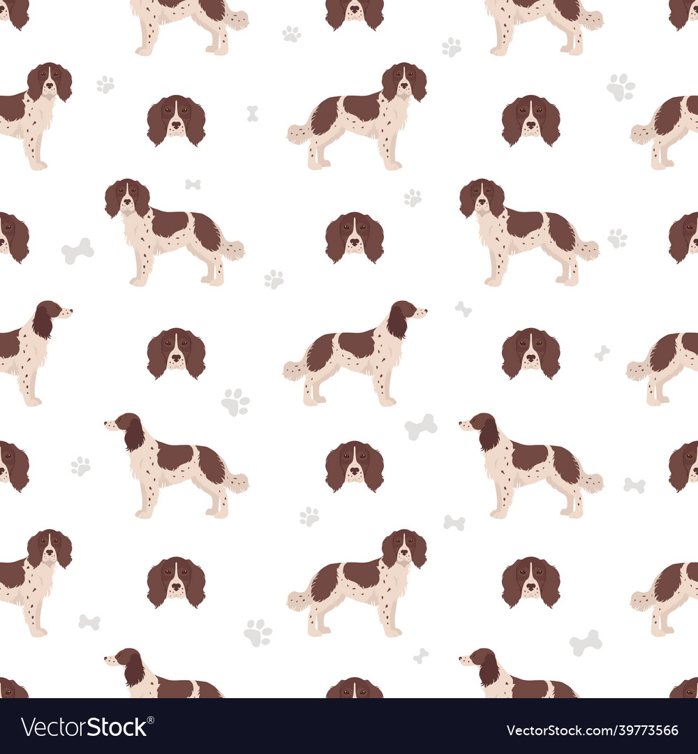 French spaniel seamless pattern different poses Vector Image