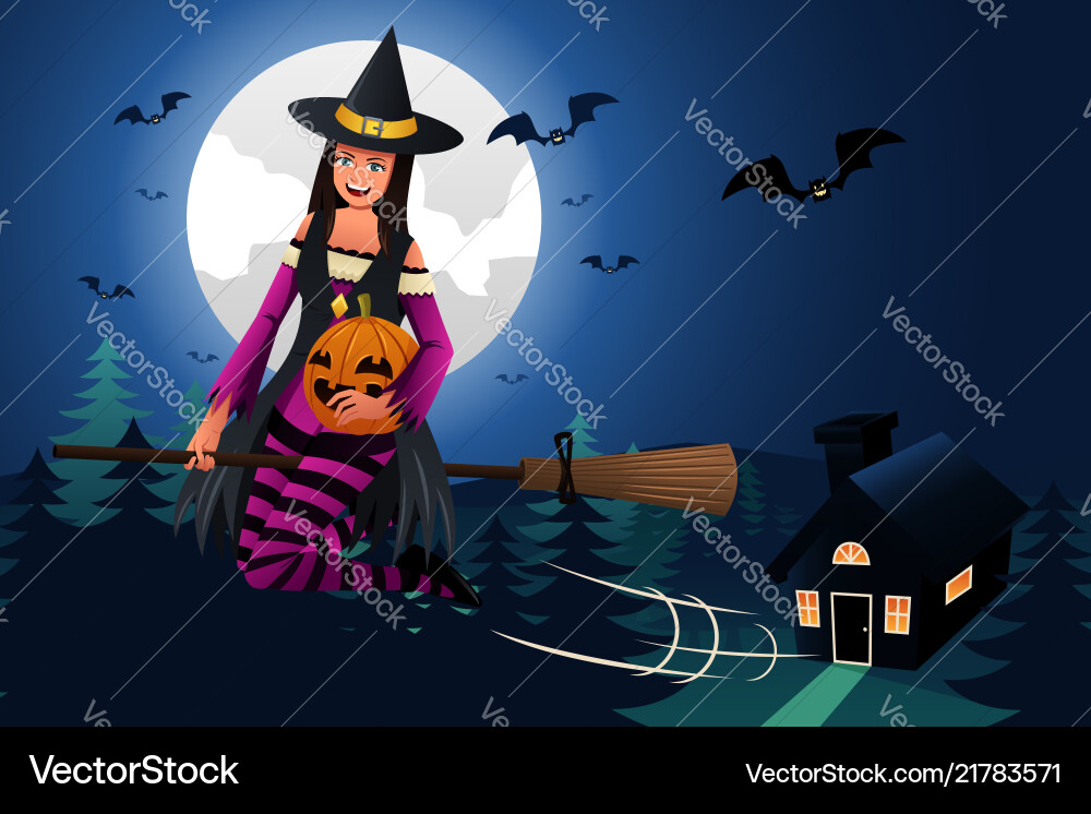 Witch flying in front of the full moon Royalty Free Vector