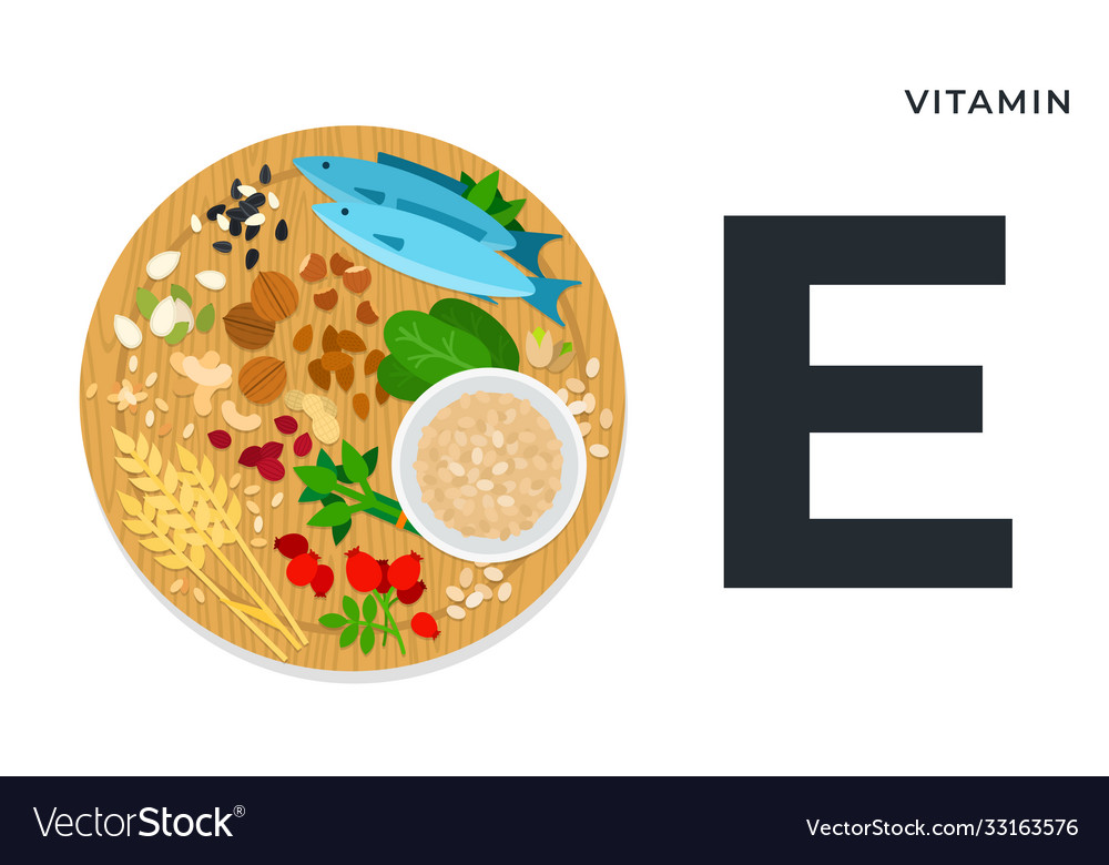Nutritional components vitamin e Royalty Free Vector Image