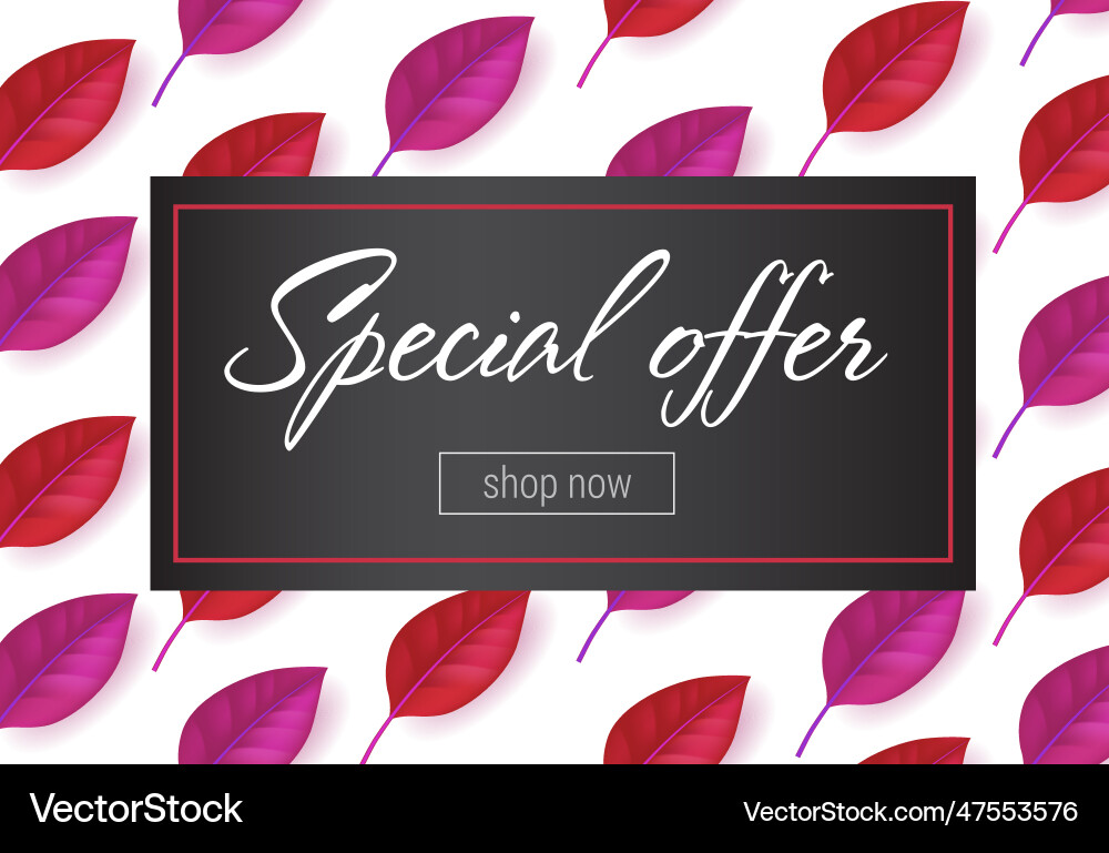 Special offer lettering in frame with leaves Vector Image