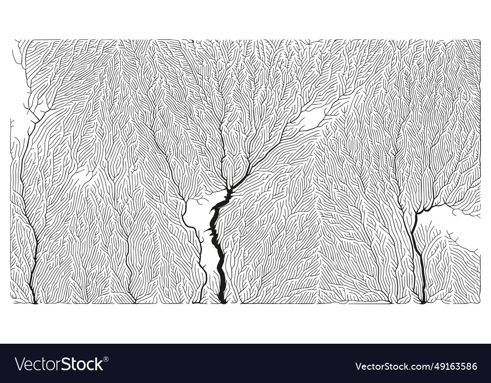 Growth pattern generative branching structure Vector Image