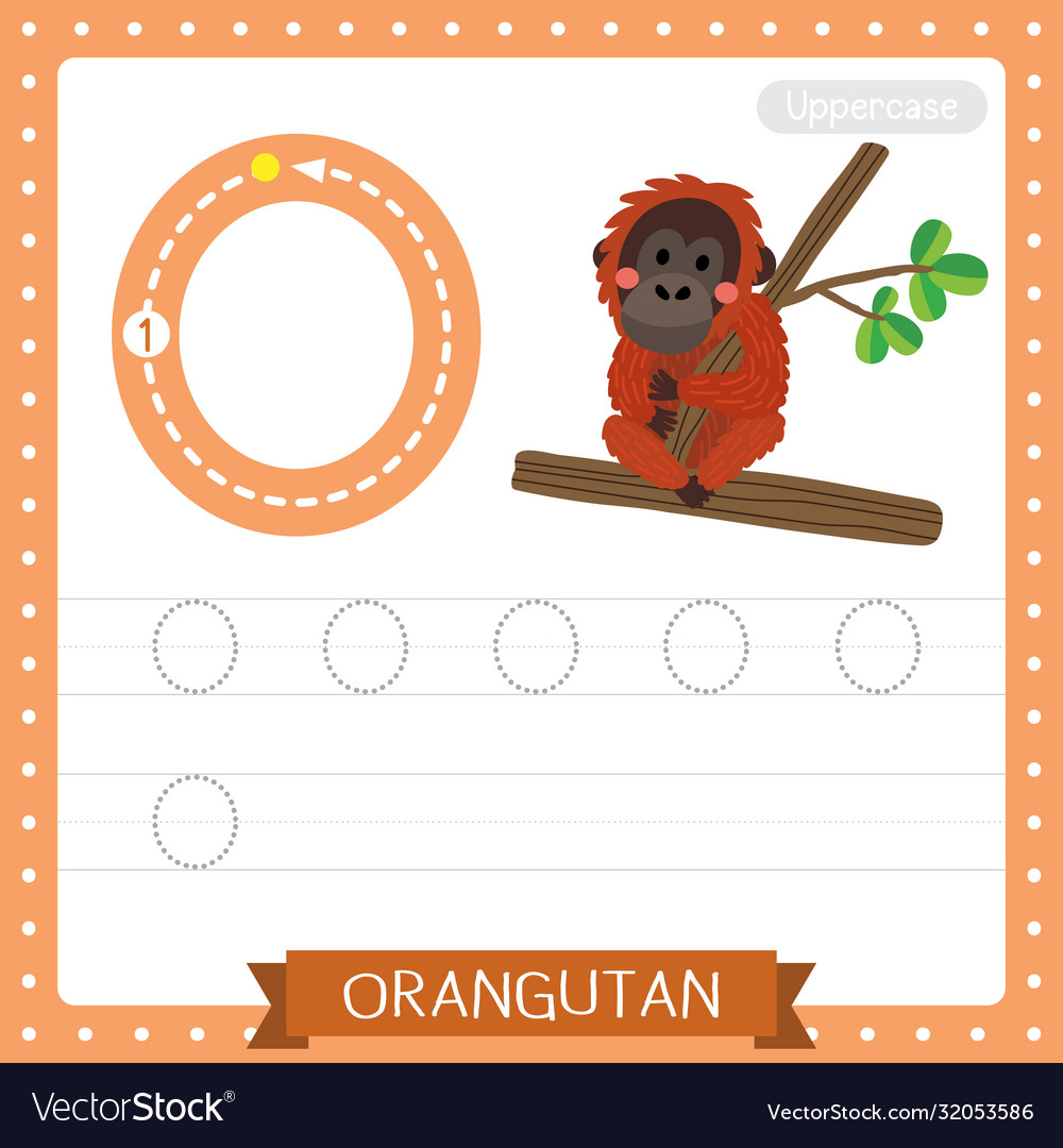 Letter o uppercase tracing practice worksheet Vector Image