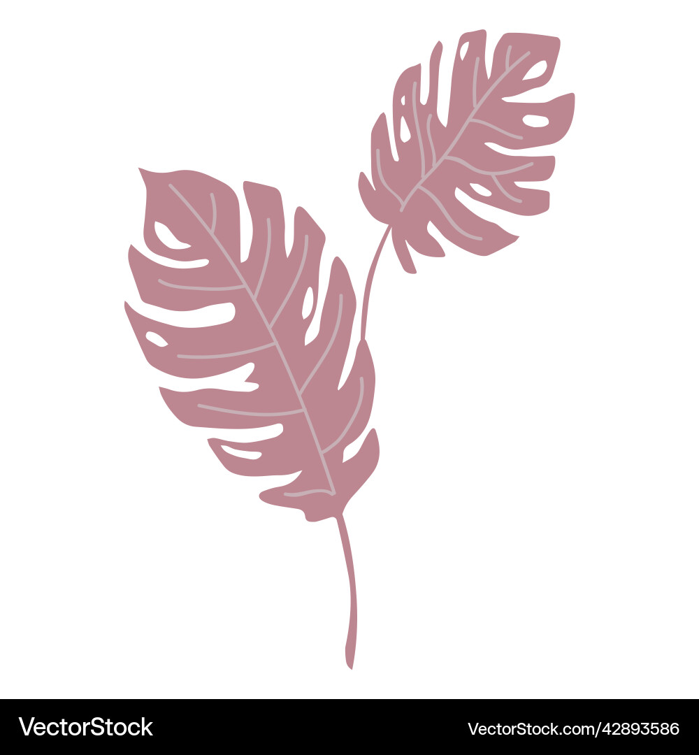 Pink monstera leaves semi flat high quality Vector Image