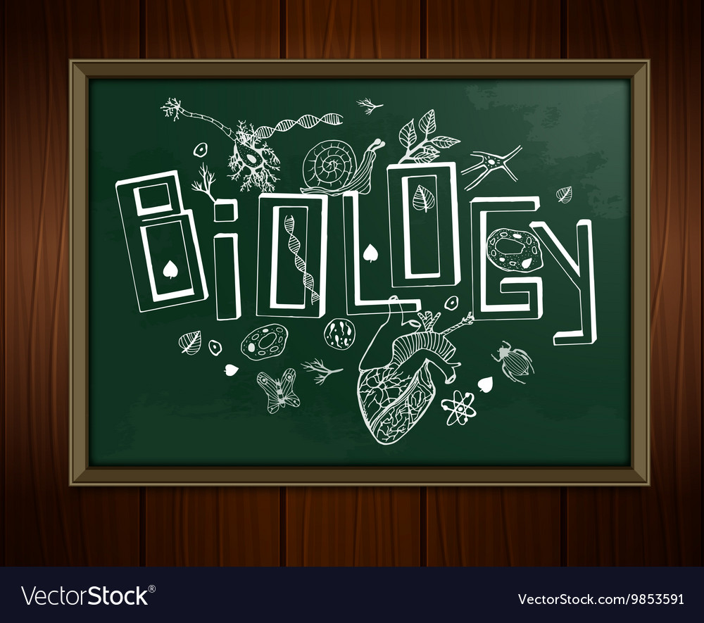 Biology blackboard image Royalty Free Vector Image