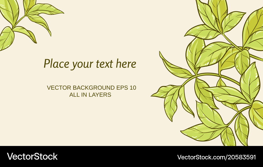 Green tea leaves on color background Royalty Free Vector