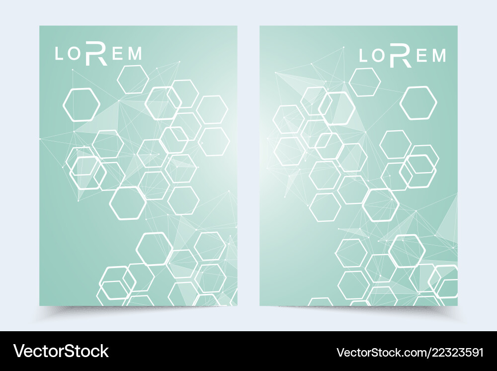 Minimal brochure templates magazine leaflet Vector Image