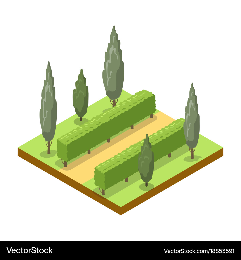 Park alley with trees isometric 3d icon Royalty Free Vector