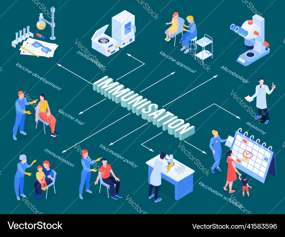 Immunization isometric flowchart Royalty Free Vector Image