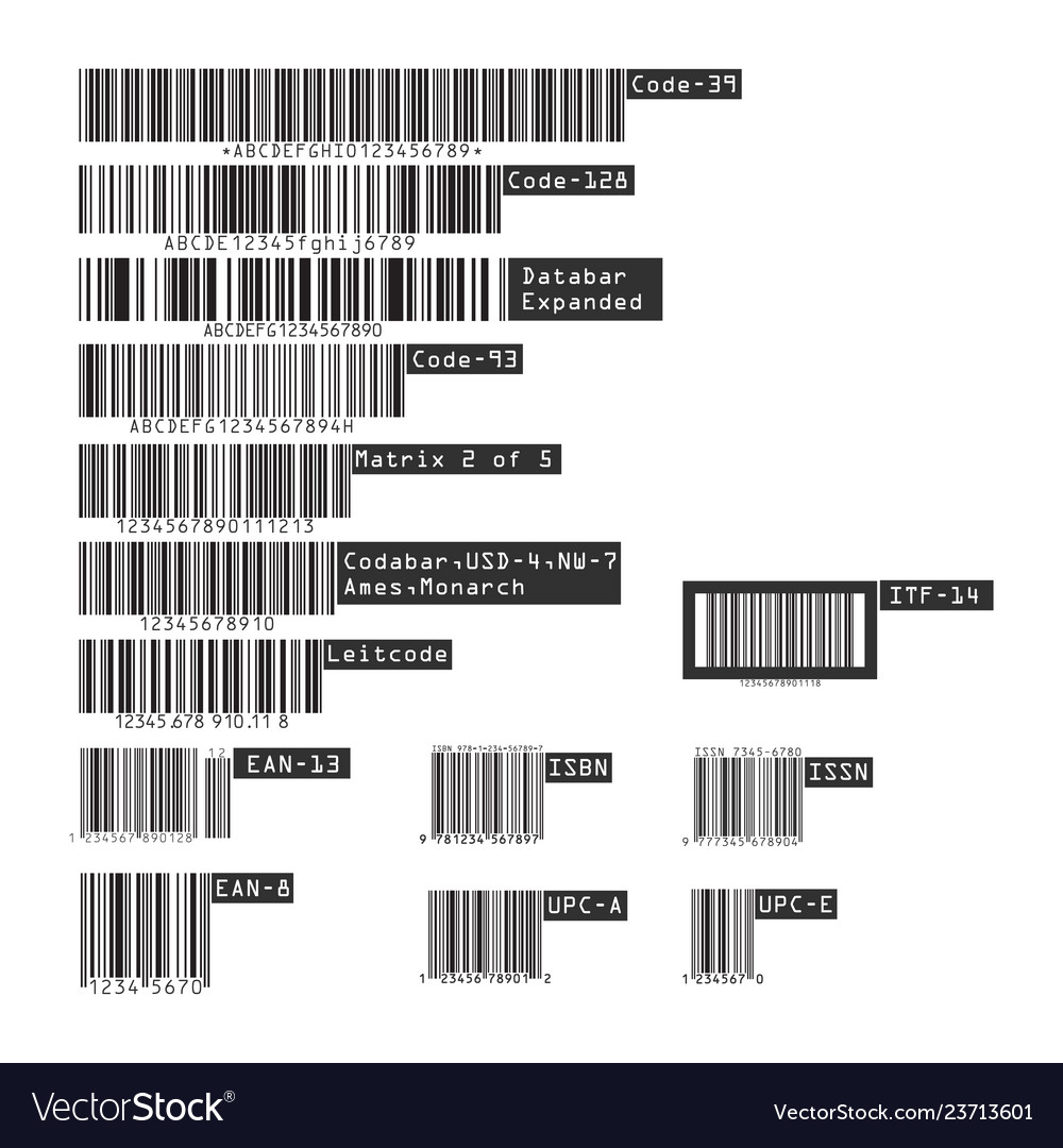 Business barcodes and qr codes isolated on white Vector Image