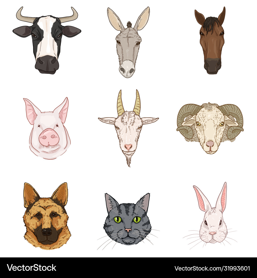 Set cartoon farm animals heads Royalty Free Vector Image