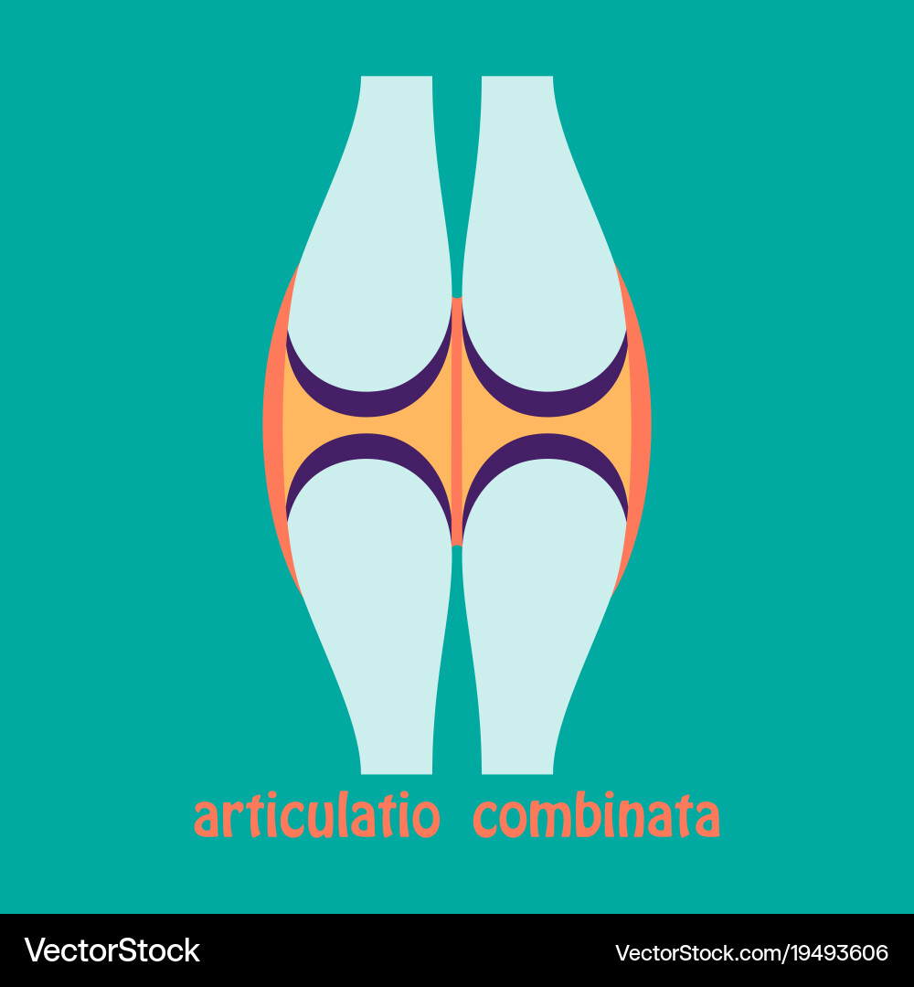 Knee joint health care icon flat Royalty Free Vector Image