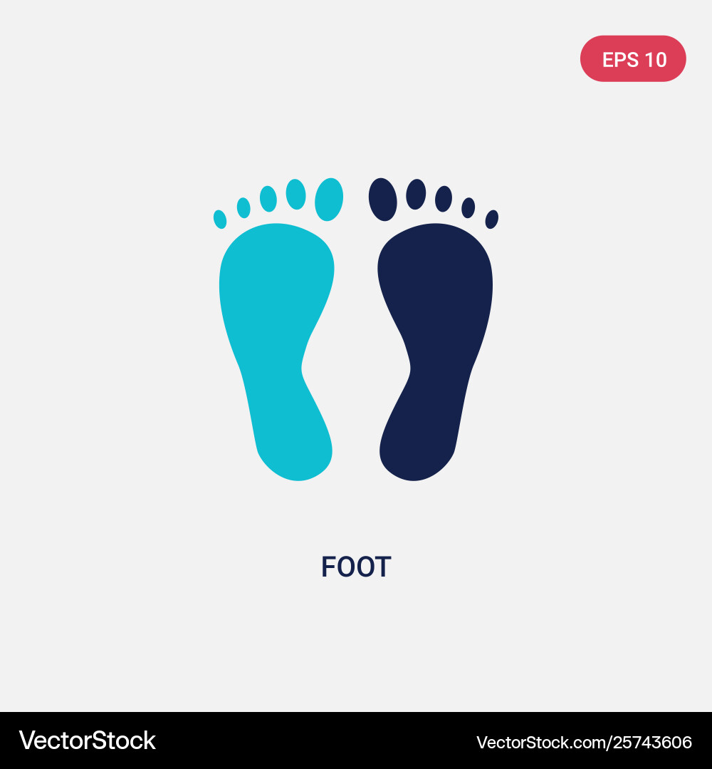Two color foot icon from general concept isolated Vector Image