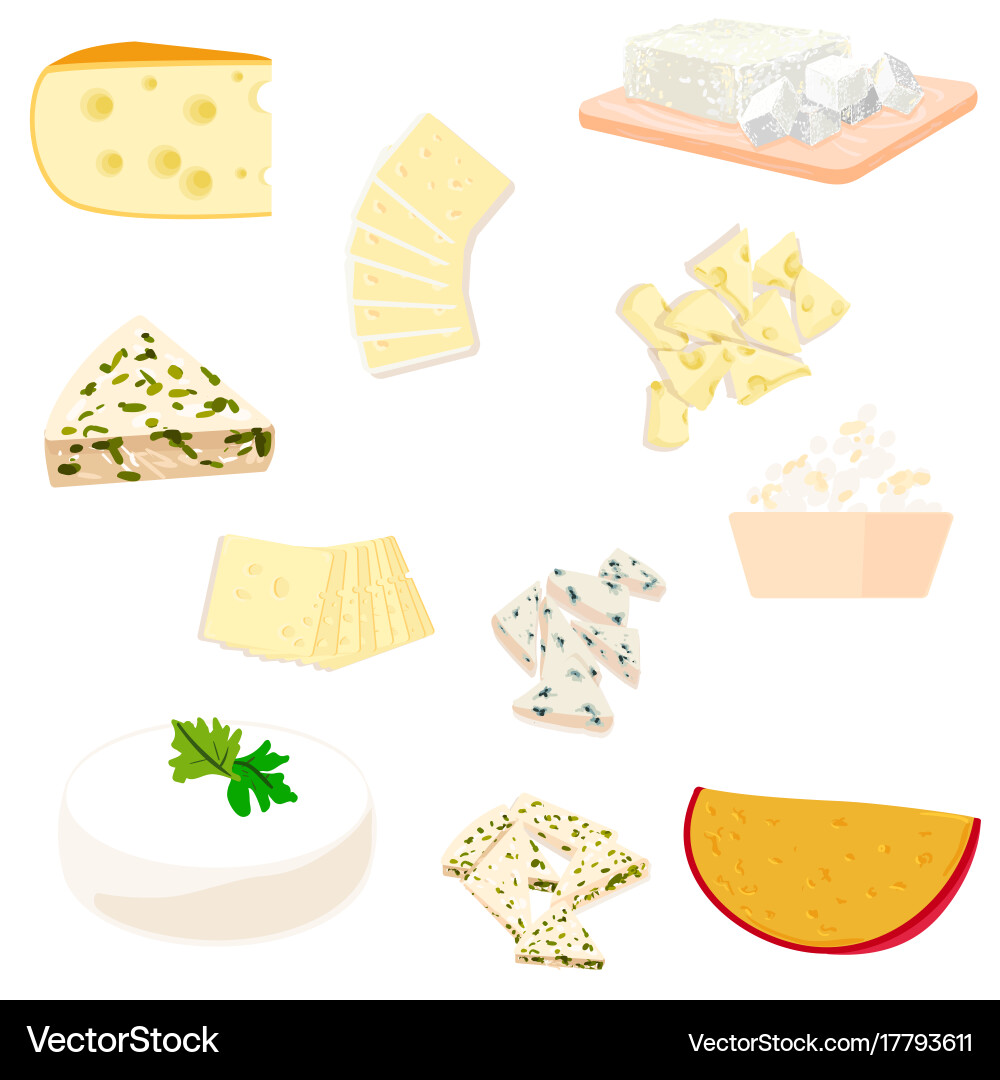 Colorful of cheese Royalty Free Vector Image - VectorStock