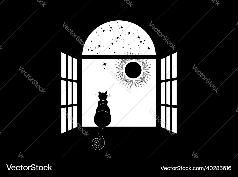 Black cat sitting on the window at look sun Vector Image