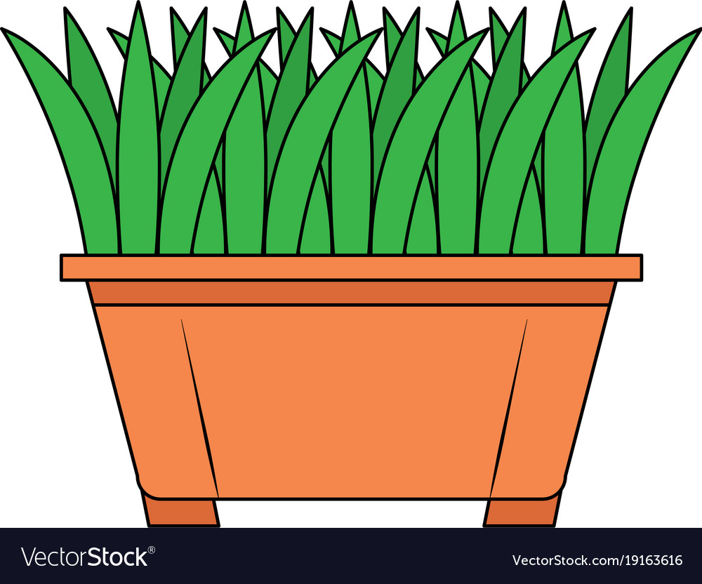 Grass In Pot Icon Royalty Free Vector Image Vectorstock