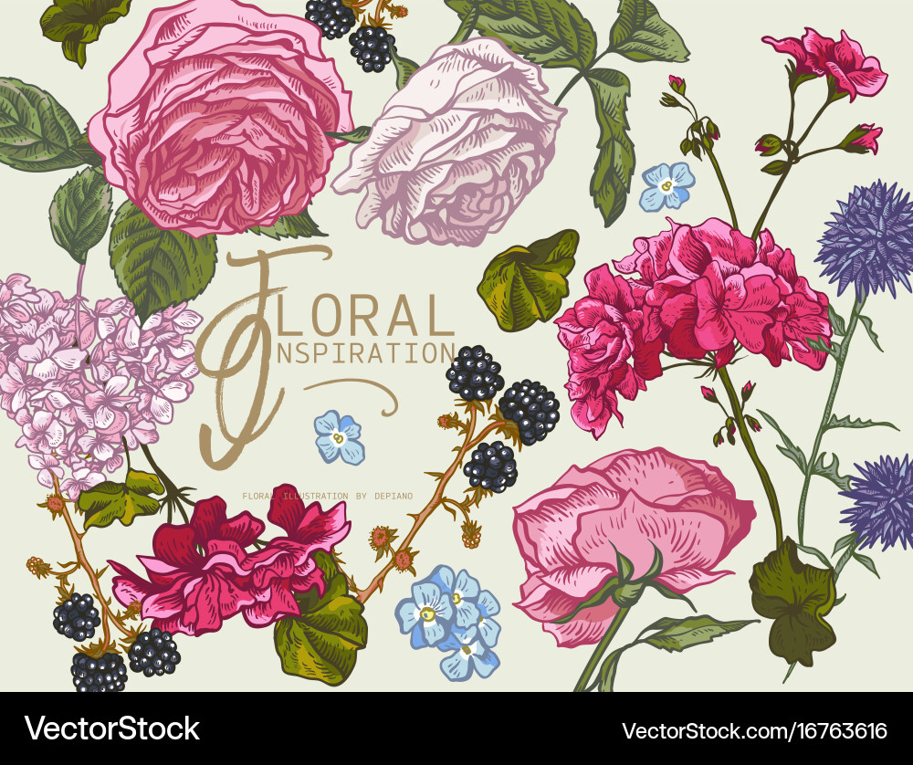 Greeting card with blooming roses geraniums Vector Image