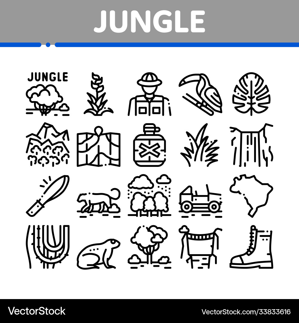 Jungle tropical forest collection icons set Vector Image