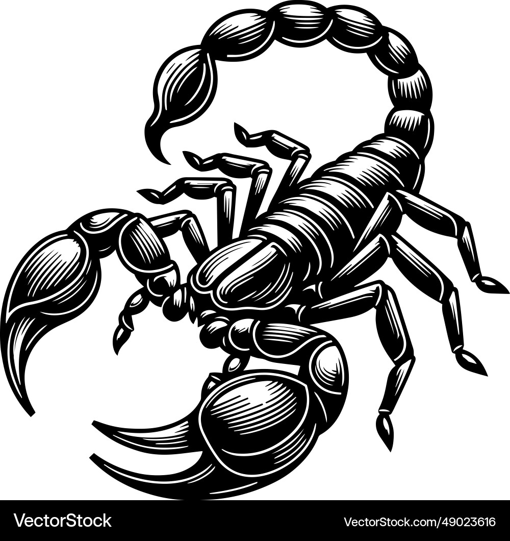 Sleek design of a striking scorpion Royalty Free Vector