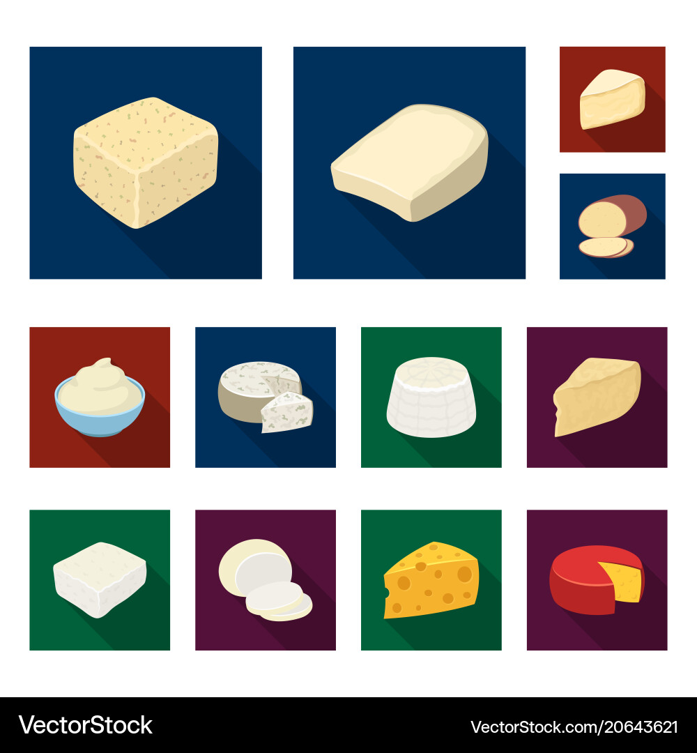 Different kind of cheese flat icons in set Vector Image