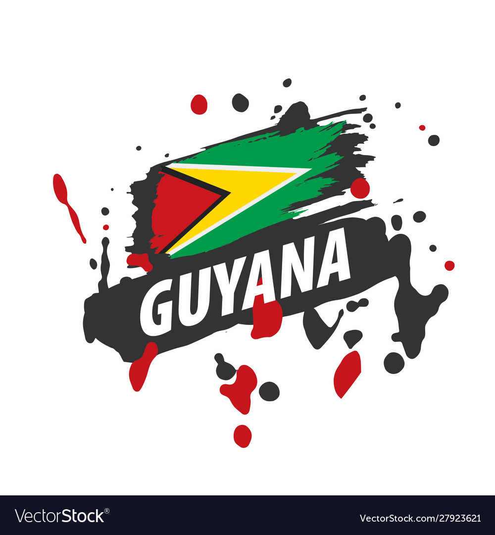 Guyana flag on a white Royalty Free Vector Image