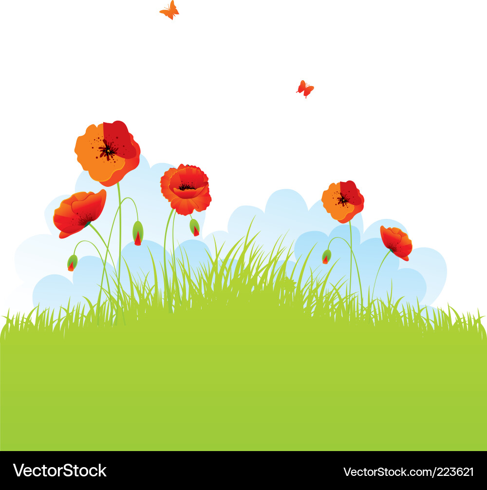 Poppy background Royalty Free Vector Image - VectorStock