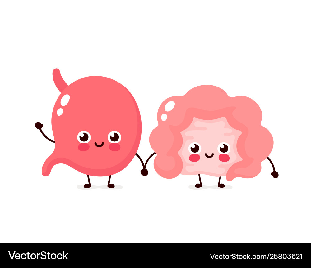 Strong cute healthy happy intestine gut Royalty Free Vector