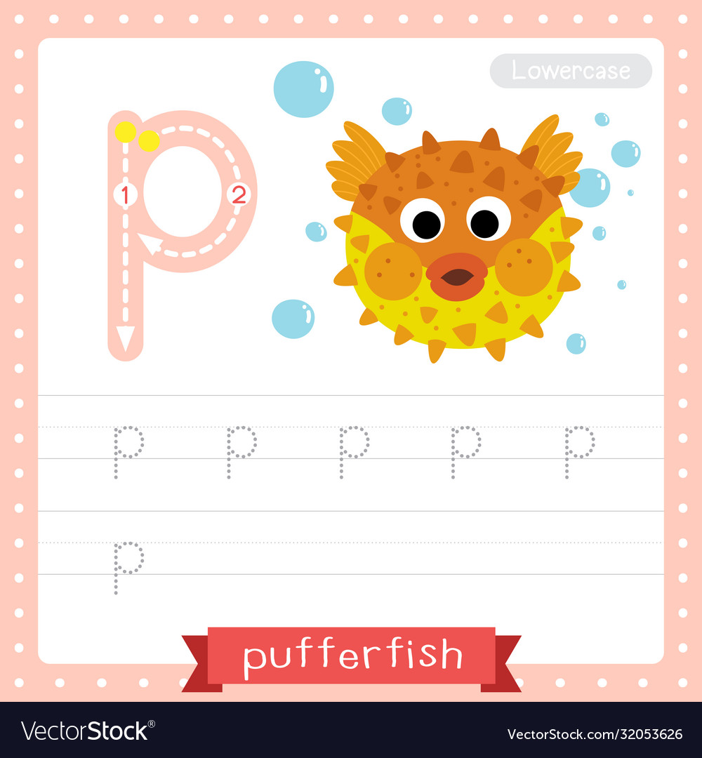 Letter p lowercase tracing practice worksheet Vector Image