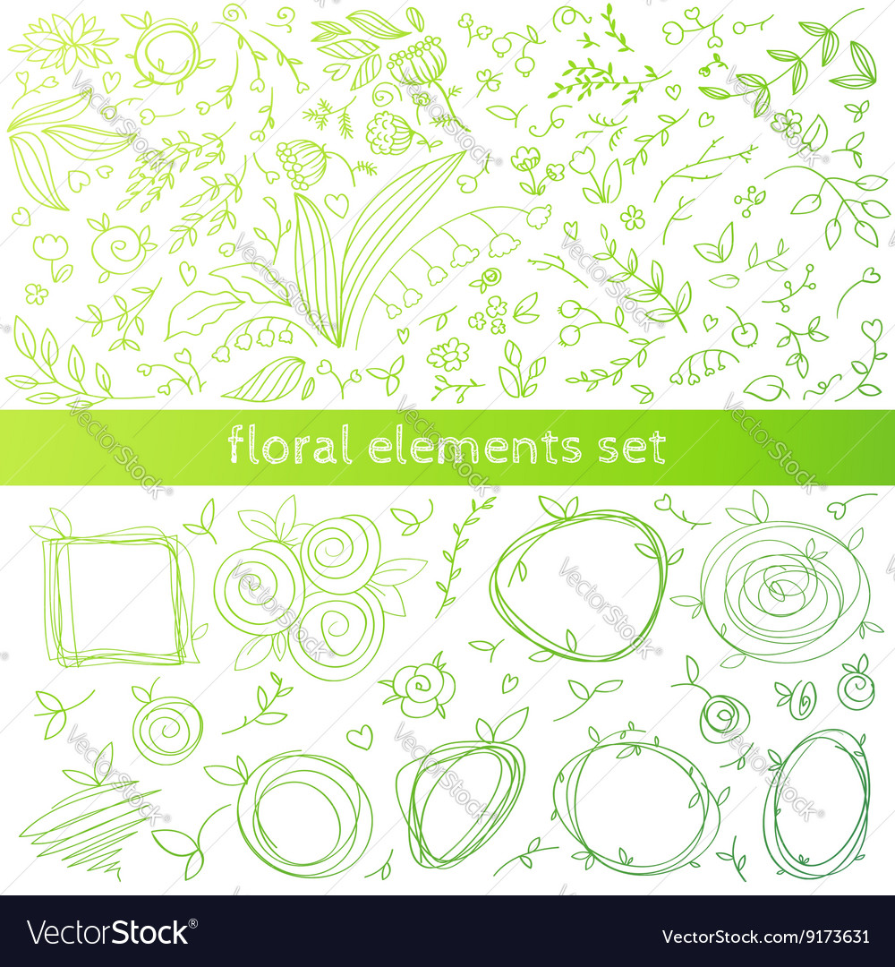 Floral decor elements Royalty Free Vector Image