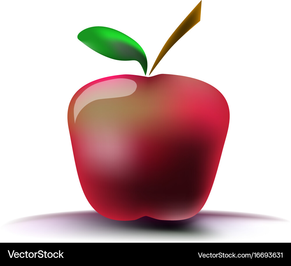 Image of a red apple on white background Vector Image