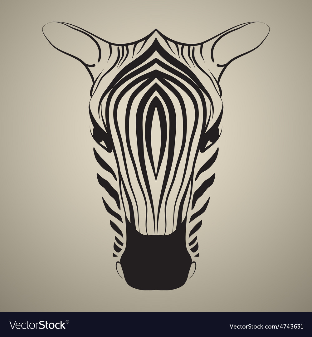 Zebra Royalty Free Vector Image - VectorStock